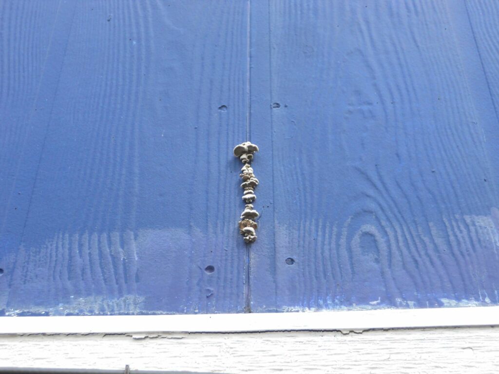 Fiber Cement Siding: Common Installation Defects Found - Scribeware ...