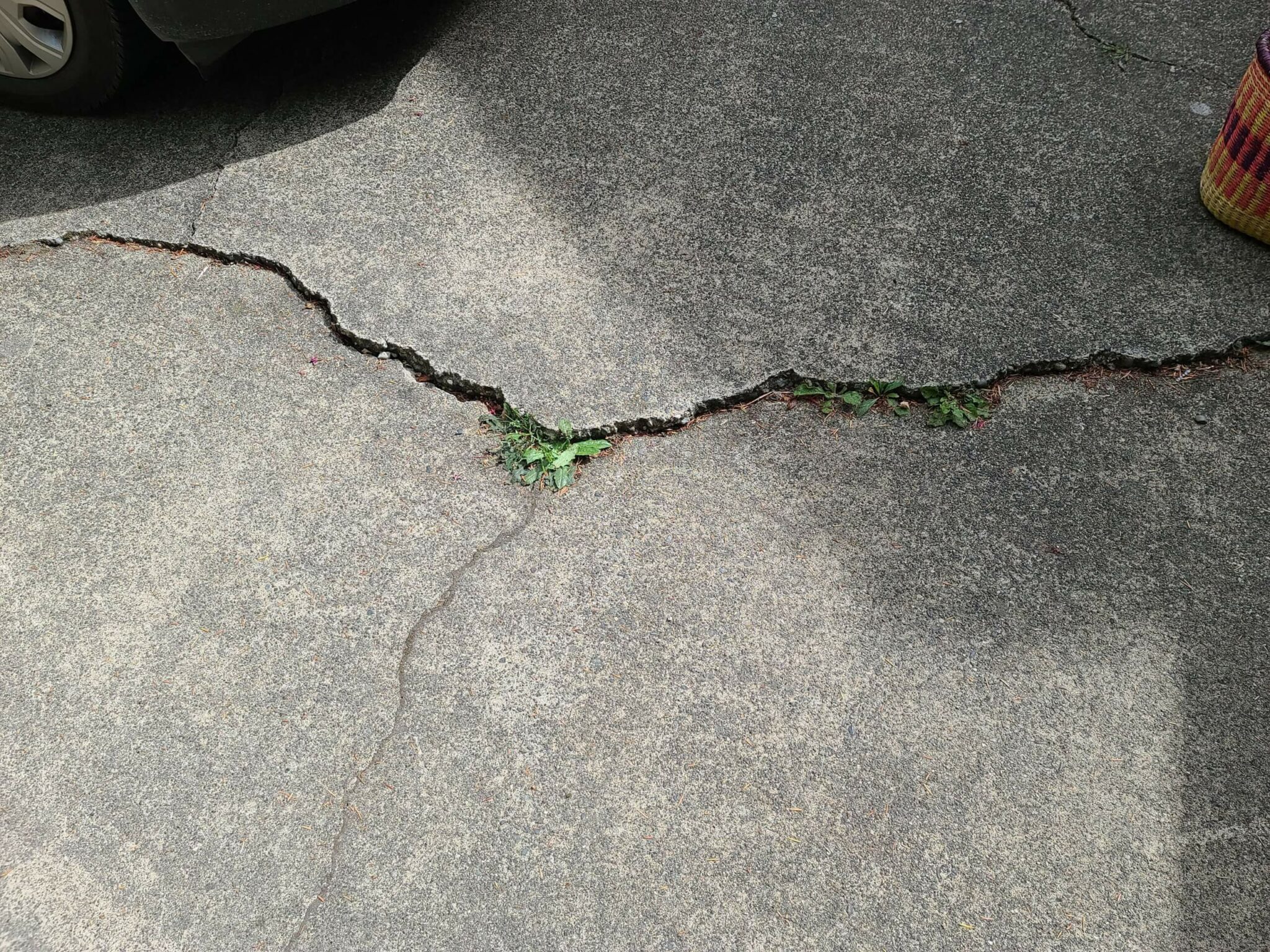 What Are These Walkway and Driveway Settlement Cracks? - Scribeware ...